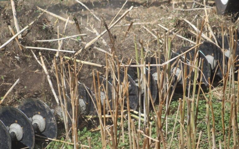 How To Prepare The Perfect Seedbed - Kelly Tillage USA